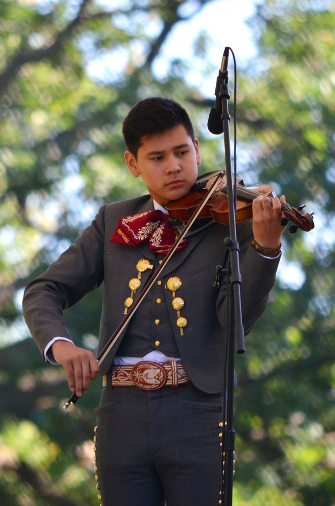 Photos & Video | Minneapolis Monarch Festival